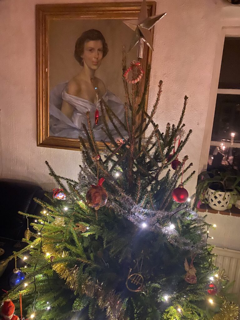 En fin jul - Ridguiden